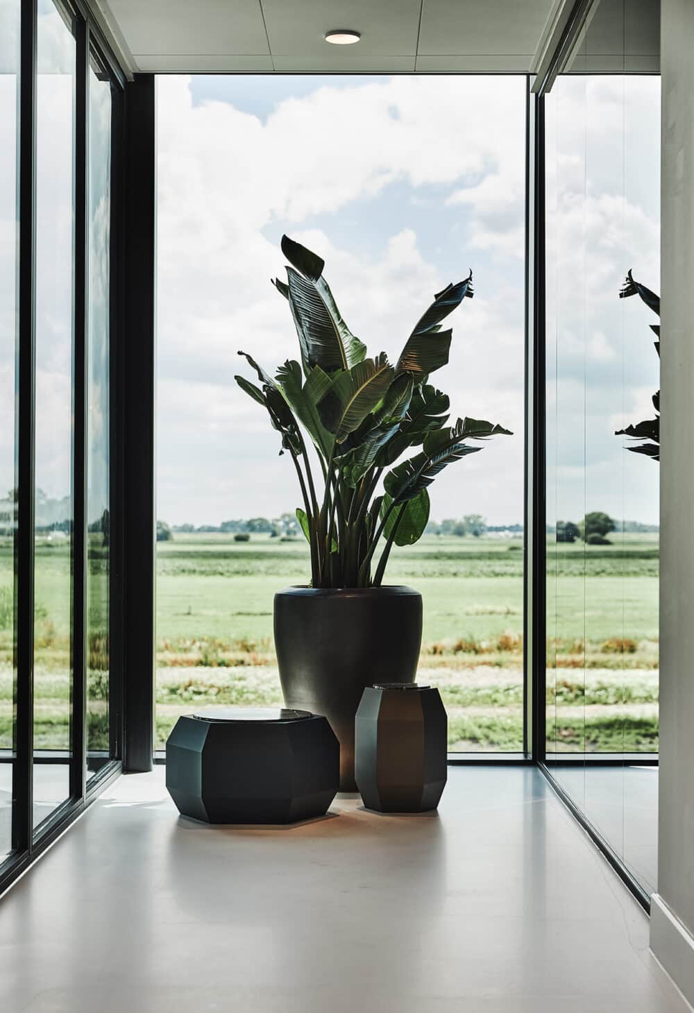 Commercial - Dami Luxury Interior